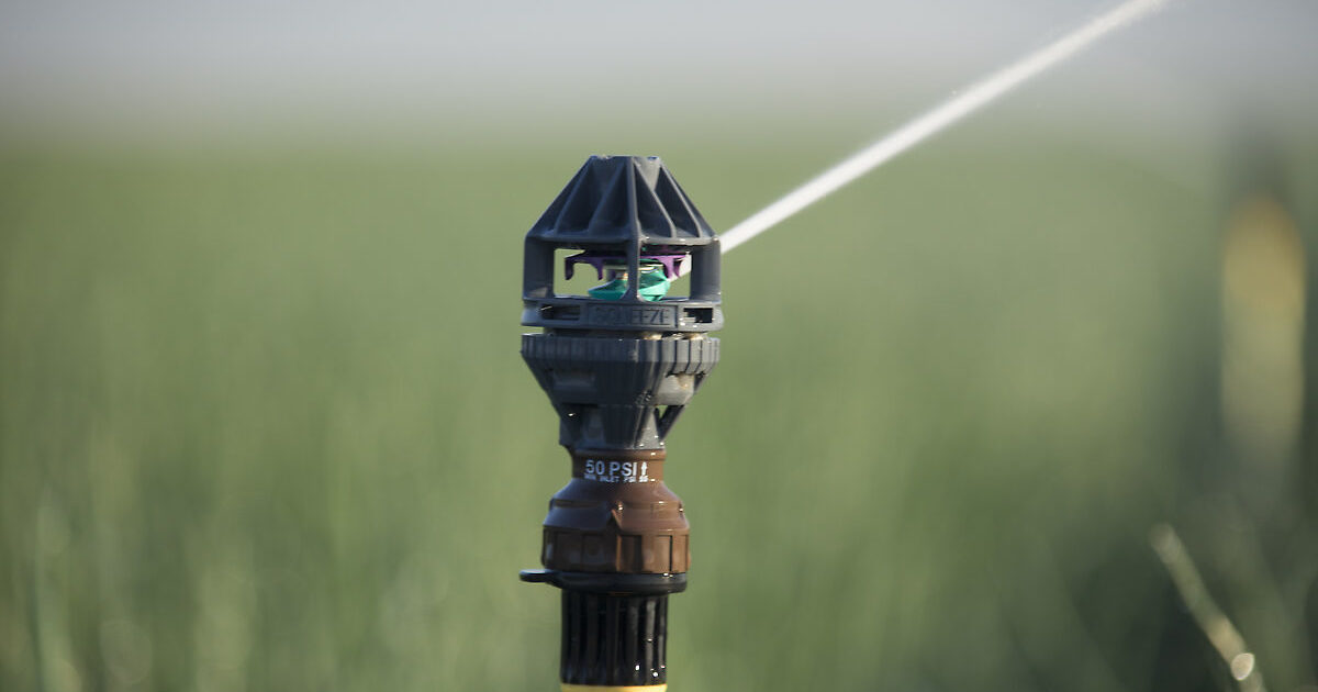 Rotator® Sprinklers | Field Crops Applications