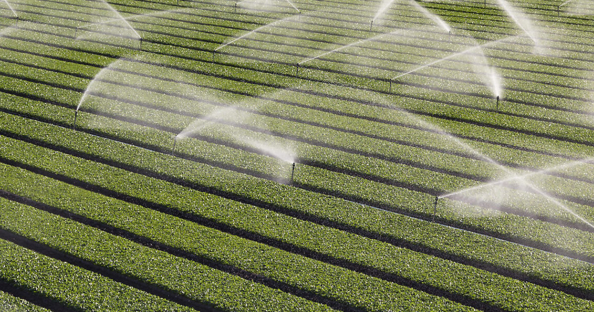 Field Crop Irrigation | Nelson Irrigation Australia