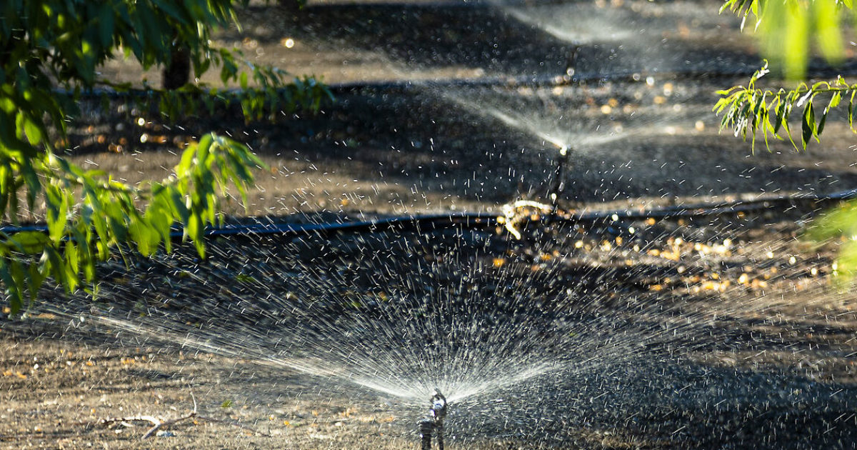 Tree & Vine Irrigation Applications | Nelson Irrigation Australia